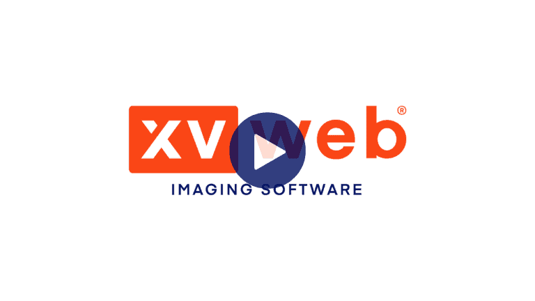 Creating Layouts in XVWeb - Planet DDS